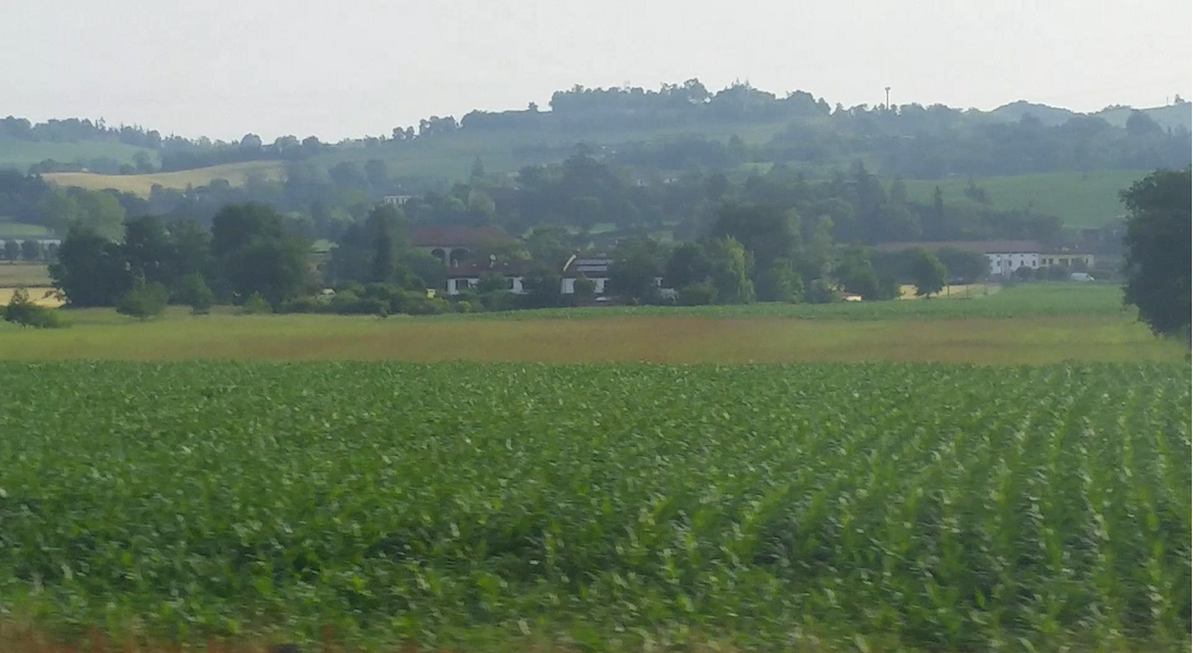 Flix Bus to Florence Italy – if by no other means – Traveling with Joy
